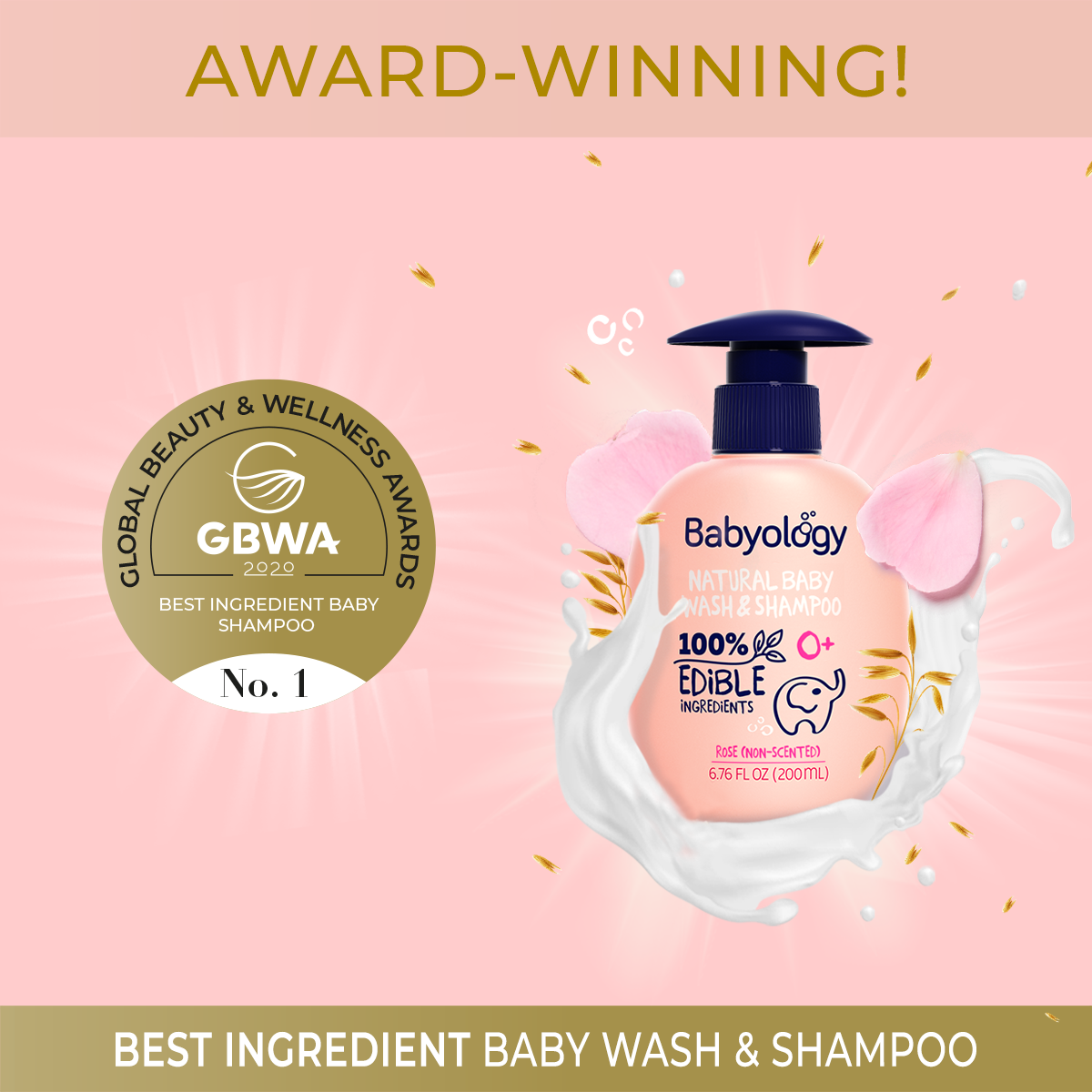 The Babyology story before and after becoming a GBWA winner - GBWA